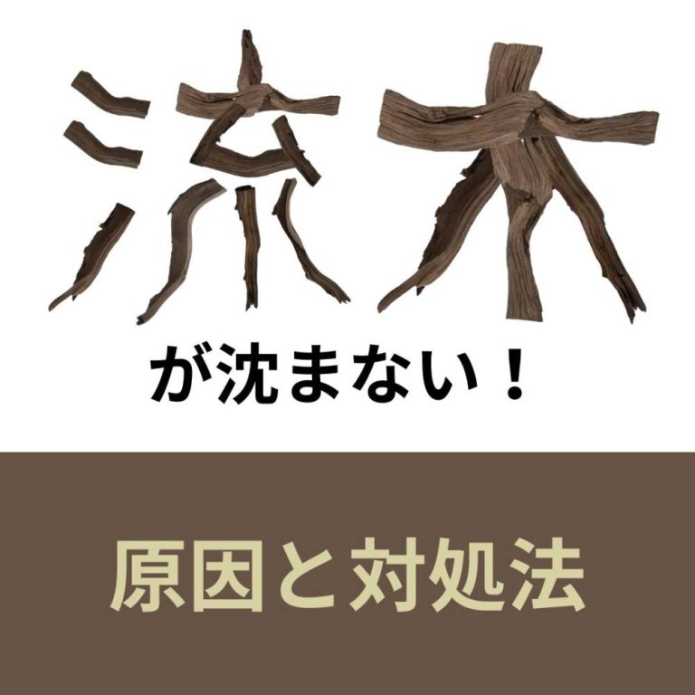 流木が沈まない原因と対処法 | AQUALASSIC