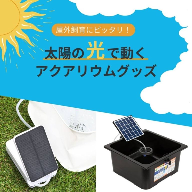 GH（総硬度）について | AQUALASSIC