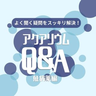 AQUALASSIC（アクアラシック） | ページ 16