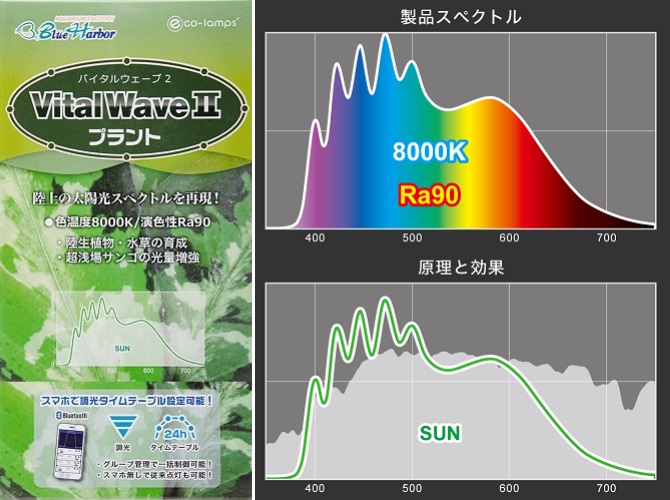 スポット型LED | AQUALASSIC