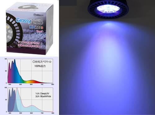 スポット型LED | AQUALASSIC