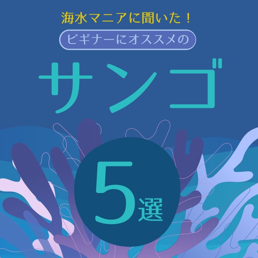 AQUALASSIC（アクアラシック） | ページ 9