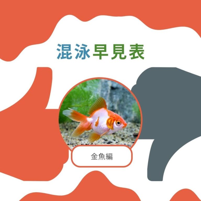 5分でわかる！症状から判別できる金魚の病気＜金魚の教室3限目＞ | AQUALASSIC