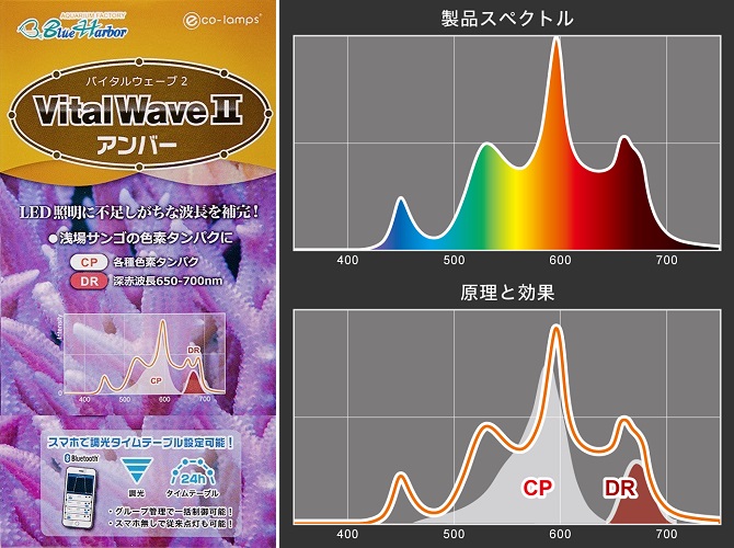 スポット型LED | AQUALASSIC