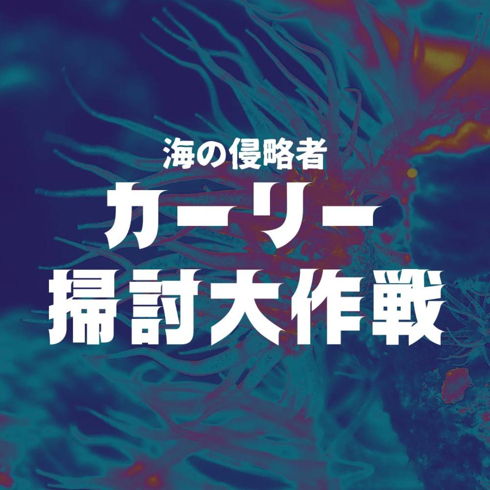 AQUALASSIC（アクアラシック） | ページ 9