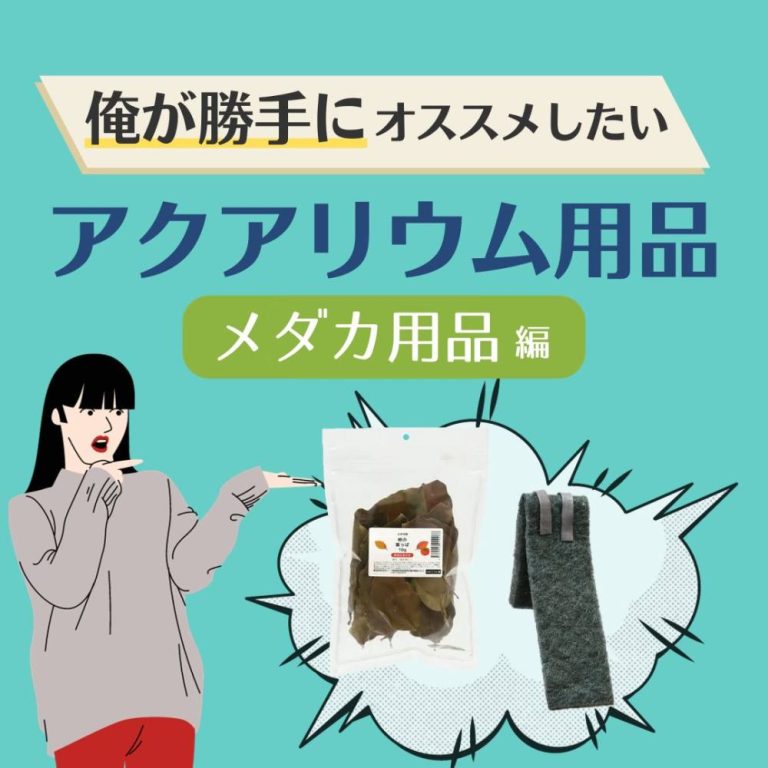 水槽・水中で使えるタイプも！すごい接着剤5選 | AQUALASSIC