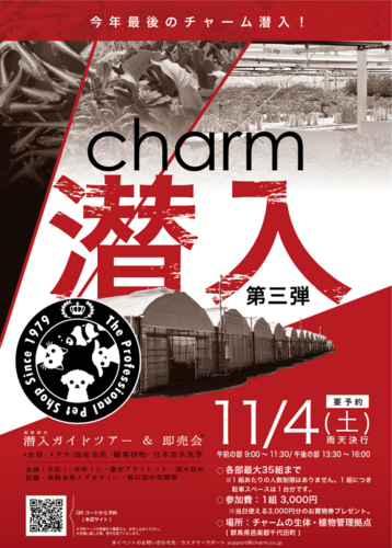 第3回 チャーム潜入イベント開催！ | AQUALASSIC