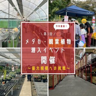 AQUALASSIC（アクアラシック） | ページ 10