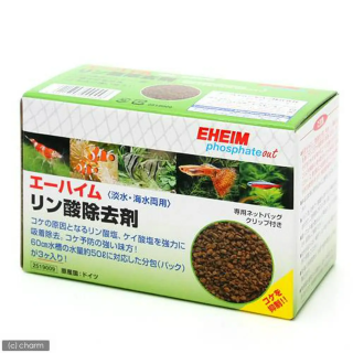 臭い！水槽を覆うドロドロ藍藻の除去と対策 | AQUALASSIC