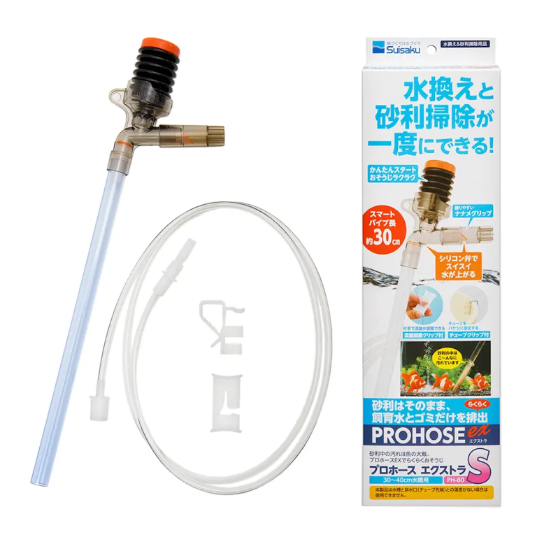 アカヒレを飼育してみよう！コップで飼えるって本当？ | AQUALASSIC