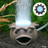 チャームで発見！かわいい？おもしろい？水槽オブジェ特集 | AQUALASSIC