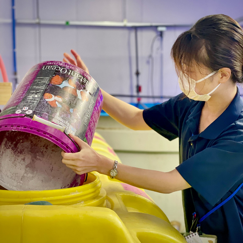 人工海水ってなんだ？天然海水との違いはあるの？ | AQUALASSIC