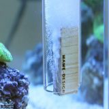 これでもう迷わない！エアーポンプとストーンの選び方 | AQUALASSIC